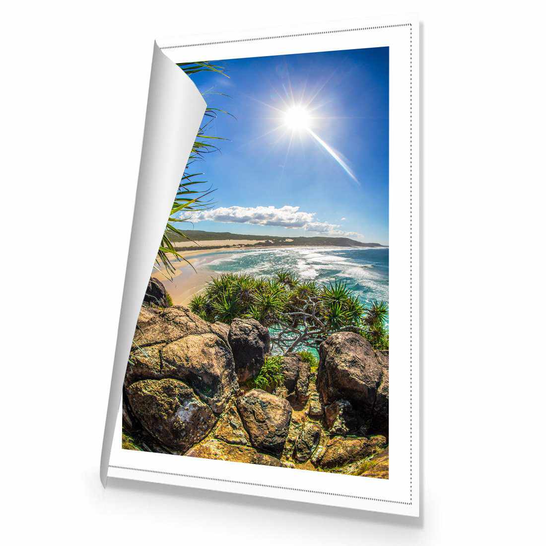 Pandanus On Fraser Standard Canvas Art | Urban Interiors