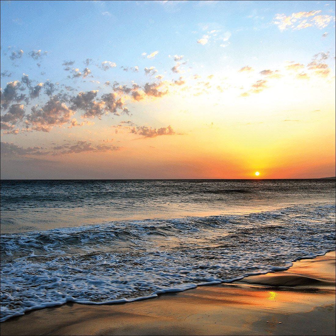 Beautiful Day Standard Canvas Art | Urban Interiors