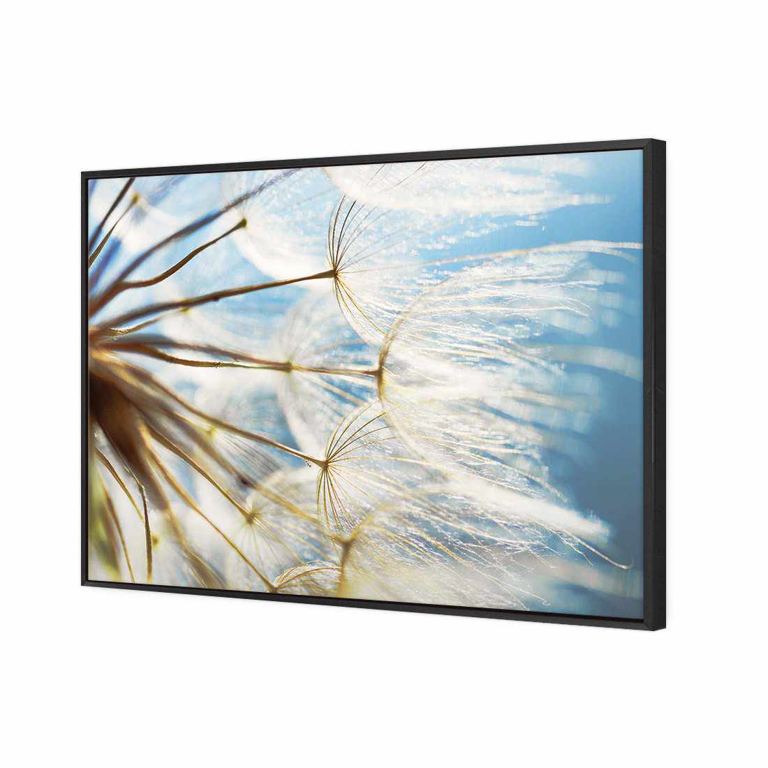 The Winds Of Dandy Standard Canvas Art | Urban Interiors