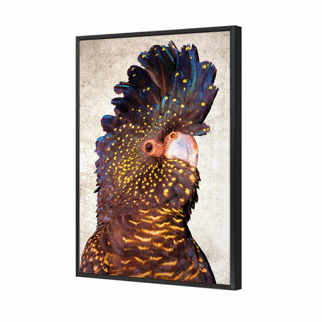 Black Cockatoo Front, Grunge Standard Canvas Art | Urban Interiors