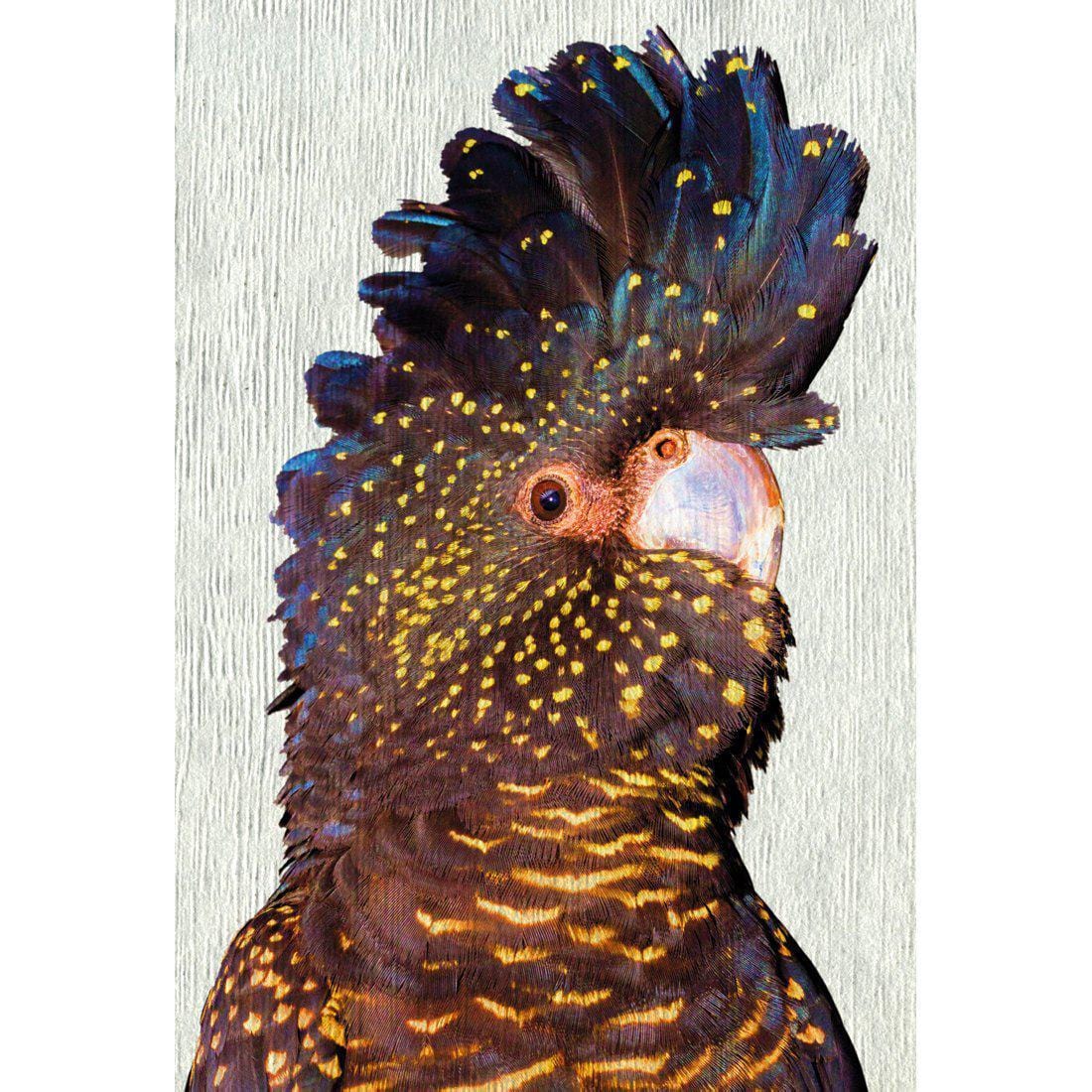 Black Cockatoo Front, Paper Standard Canvas Art | Urban Interiors