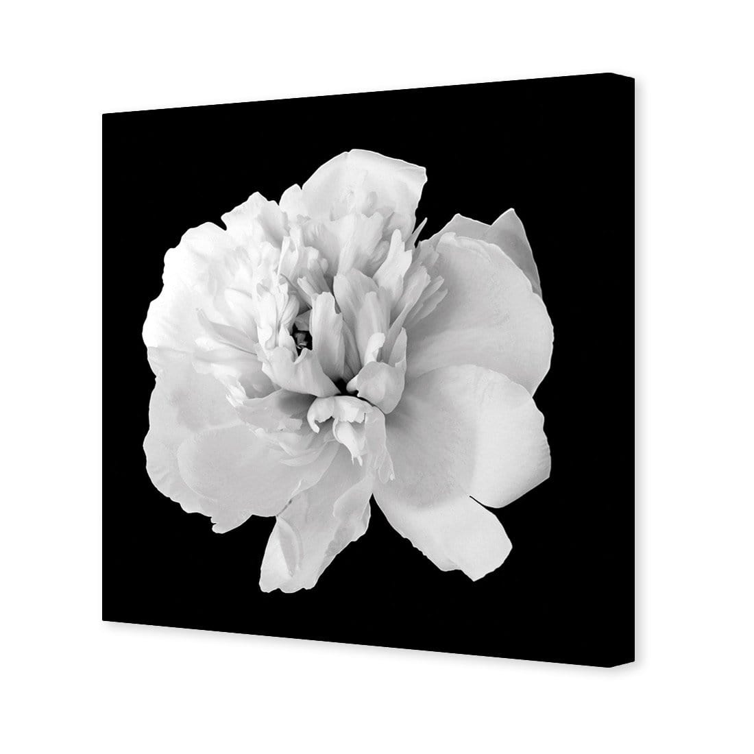 Salubrious Peony Standard Canvas Art | Urban Interiors