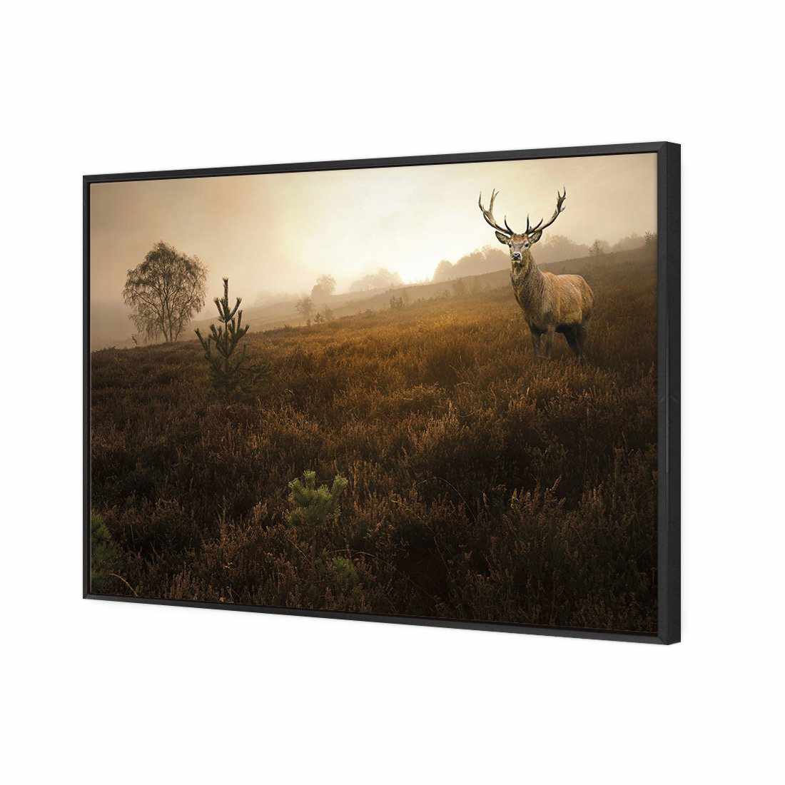 Morning Stag Standard Canvas Art | Urban Interiors