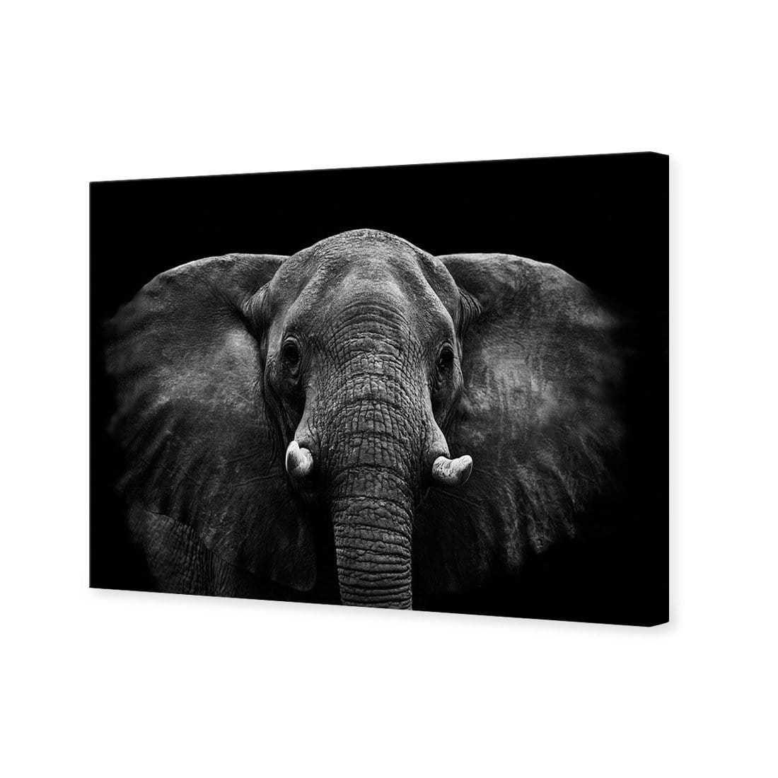 Regal Elephant Standard Canvas Art | Urban Interiors