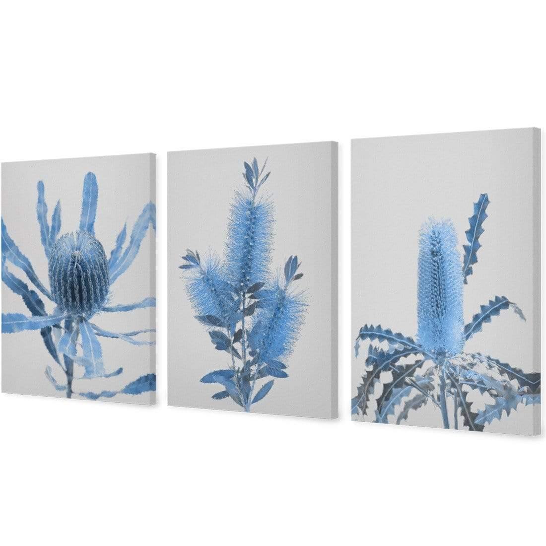 Native Blue Trio Art Set | Urban Interiors